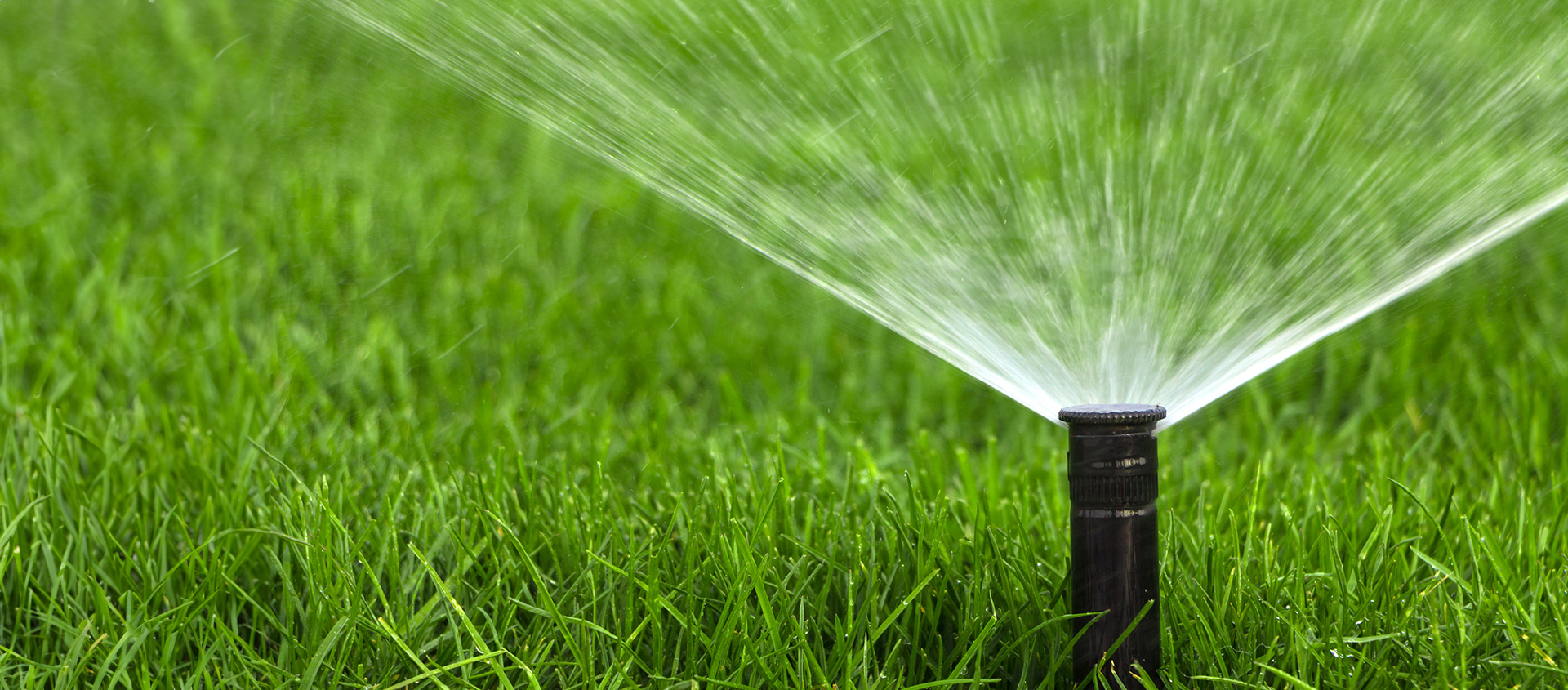 Irrigation Spring Start-Up | Northern Virginia Guide