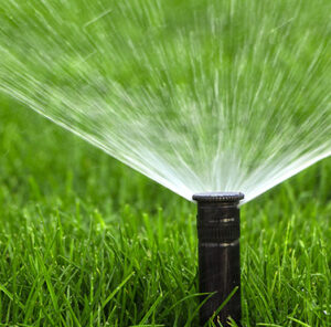 Irrigation And Lighting Carney Irrigation